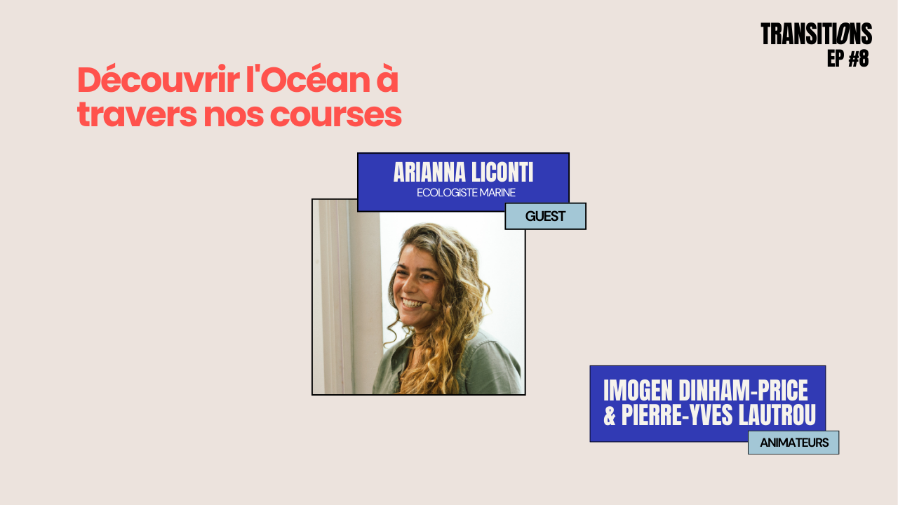 Transitions #8 - Découvrir l'Océan à travers nos courses